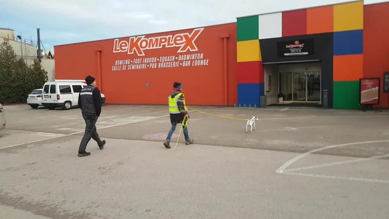 Alexandra FORESTIER - Éducateur canin à domicile - Allier